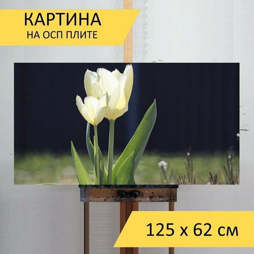 Картина на ОСП 125х62 см. "Тюльпаны, белый, яркий" горизонтальная, для интерьера, с креплениями