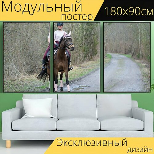 Модульный постер "Верховая езда, лошадь, девочка" 180 x 90 см. для интерьера