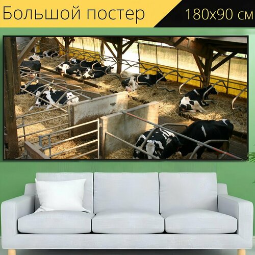 Большой постер "Стойлового содержания, коровы, доярка" 180 x 90 см. для интерьера
