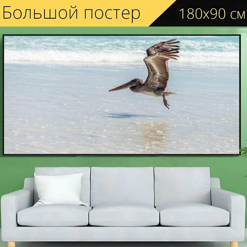 Большой постер "Пеликан, летающий, пляж" 180 x 90 см. для интерьера