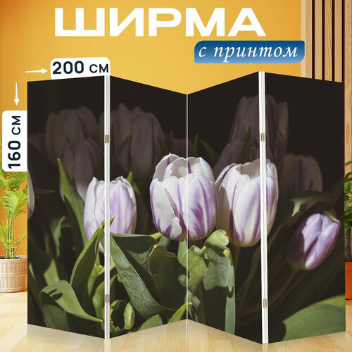 Ширма перегородка с принтом "Тюльпаны, цветы, срезанные цветы" на холсте - 200x160 см. для зонирования, раскладная