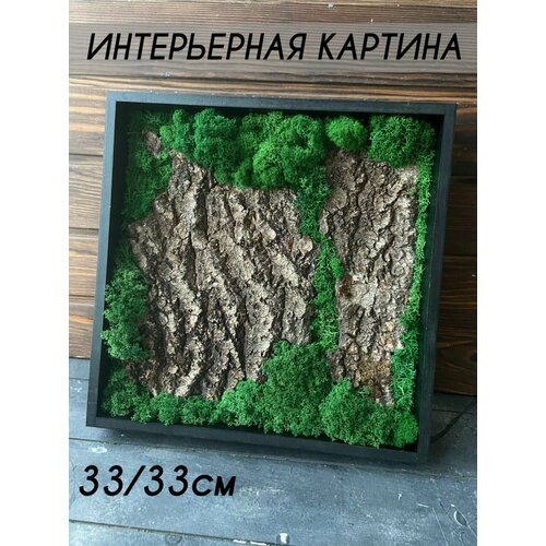 Картина из коры со мхом 33х33