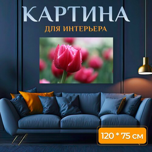 Картина на холсте "Тюльпан, капли, весна" на подрамнике 120х75 см. для интерьера