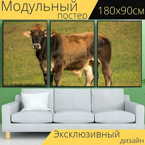 Модульный постер "Бык, корова, крупный рогатый скот" 180 x 90 см. для интерьера