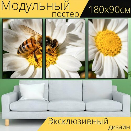 Модульный постер "Пчела, оса, цветочная пыльца" 180 x 90 см. для интерьера