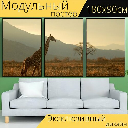 Модульный постер "Жирафа, танзания, сафари" 180 x 90 см. для интерьера