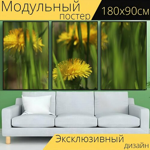 Модульный постер "Одуванчик, полевые цветы, трава" 180 x 90 см. для интерьера