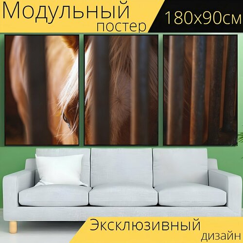 Модульный постер "Лошадь, конный спорт, жеребец" 180 x 90 см. для интерьера