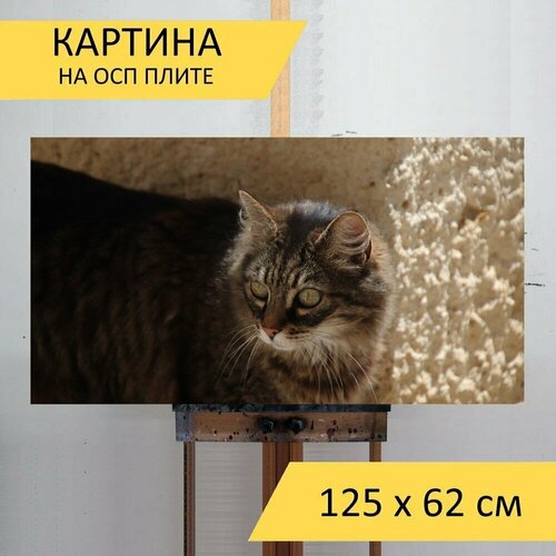 Картина на ОСП 125х62 см. "Кошки, кошачьи, животные" горизонтальная, для интерьера, с креплениями