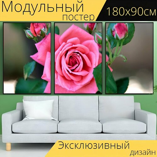 Модульный постер "Роуз, розы, цветок" 180 x 90 см. для интерьера