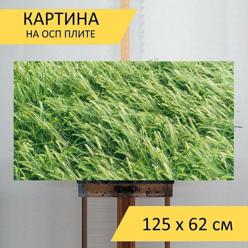 Картина на ОСП 125х62 см. "Рожь, поле, зерно" горизонтальная, для интерьера, с креплениями