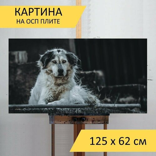 Картина на ОСП 125х62 см. "Собака, собачий, домашний питомец" горизонтальная, для интерьера, с креплениями