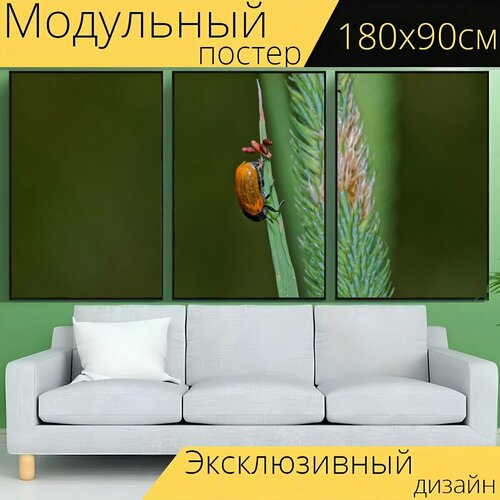 Модульный постер "Макро, жук, природа" 180 x 90 см. для интерьера