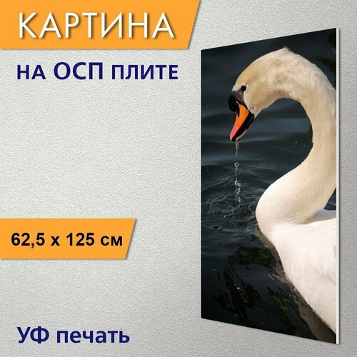 Вертикальная картина на ОСП "Лебедь, водоплавающая птица, вода" 62x125 см. для интерьериа