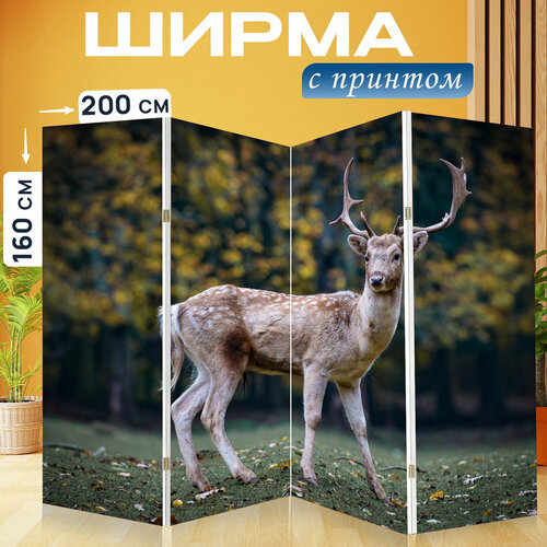 Ширма перегородка с принтом "Косуля, олень, рога" на холсте - 200x160 см. для зонирования, раскладная