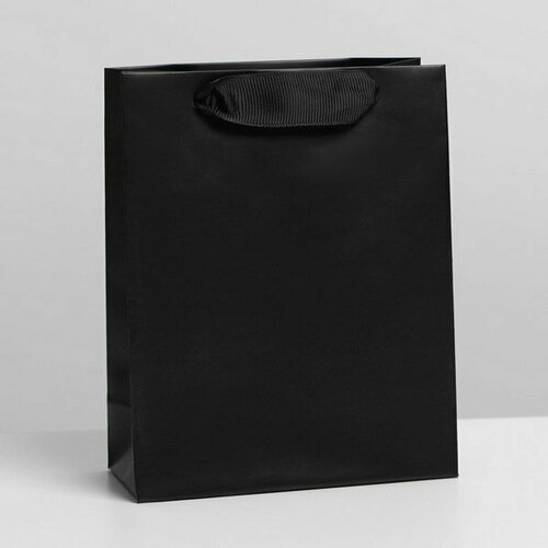 Пакет ламинированный "Чёрный", S 12 x 15 x 5.5 см