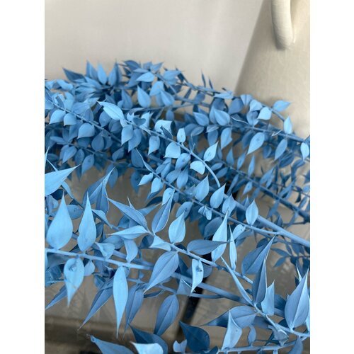 Иглица синяя / Сухоцветы для флористов, сухоцветы для творчества, для декора.