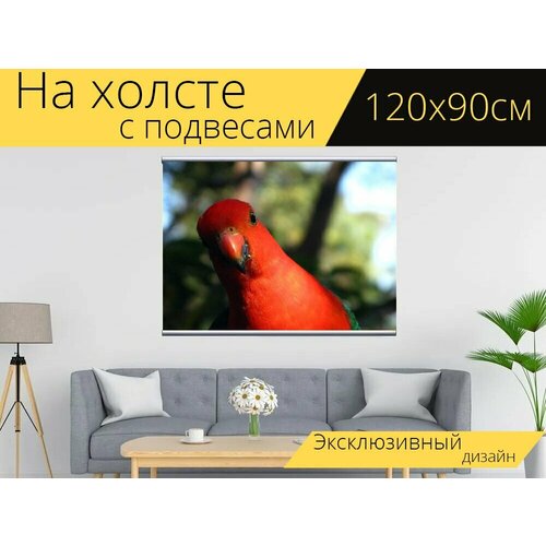 Картина на холсте "Австралийский корольпопугай, зоопарк, самец попугай" с подвесами 120х90 см. для интерьера