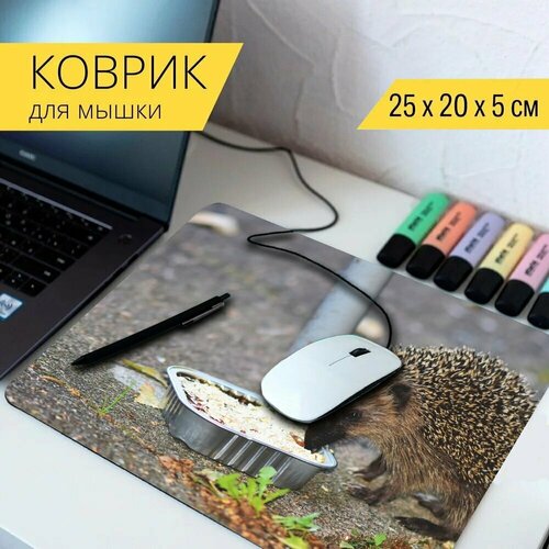 Коврик для мыши с принтом "Ежик, детеныш, шпора" 25x20см.