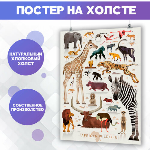 Постер виды животных types of animals (6) 40х60 см