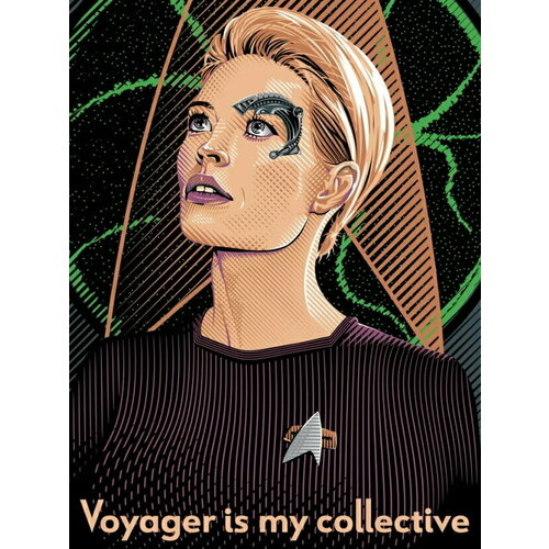 Плакат, постер на бумаге Star Trek-Voyager is my collective/Звездный путь/искусство/арт/абстракция/творчество. Размер 60 х 84 см