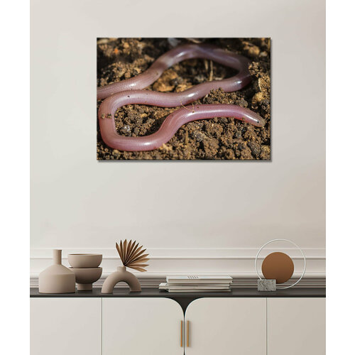 Картина - змея, обыкновенная слепозмейка, маленькая змея, земляная змея (57) 20х30