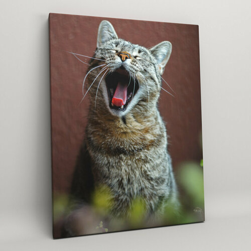 Картина на холсте (интерьерный постер) "Полосатый кот зевает", с деревянным подрамником, размер 30x40 см