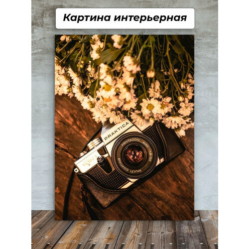 Картина на стену 50х70 Фотоаппарат Цветы Ромашки