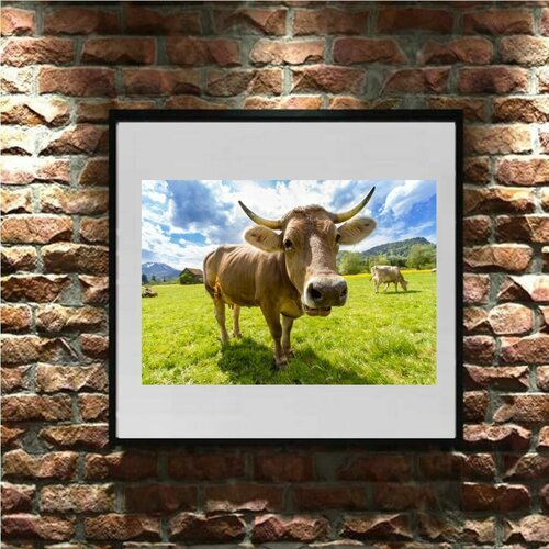 Постер "Позитивная корова" Cool Eshe из коллекции "Природа", плакат А4 (29,7 х 21 см)