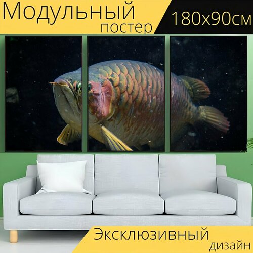 Модульный постер "Рыбы, вода, морской" 180 x 90 см. для интерьера