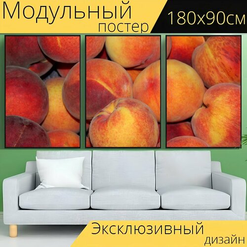 Модульный постер "Персики, фрукты, спелый" 180 x 90 см. для интерьера
