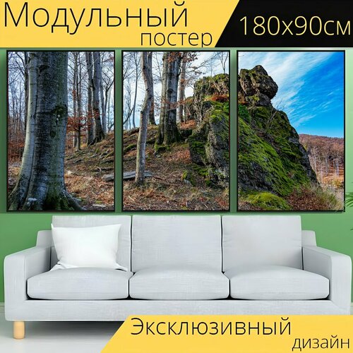 Модульный постер "Лес, деревья, горные породы" 180 x 90 см. для интерьера