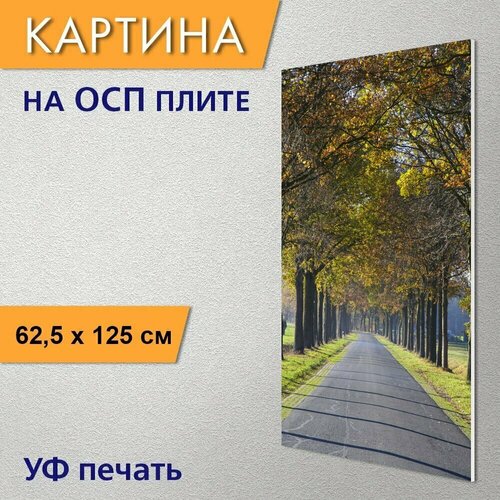 Вертикальная картина на ОСП "Проспект, деревья, дорога" 62x125 см. для интерьериа