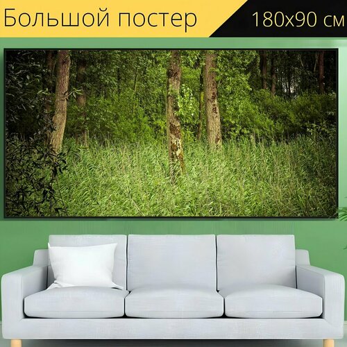 Большой постер "Лес, деревья, пейзаж" 180 x 90 см. для интерьера