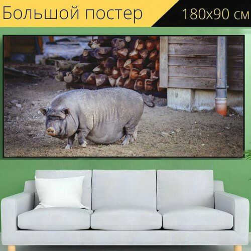 Большой постер "Свинья, щетина свиньи, животное" 180 x 90 см. для интерьера