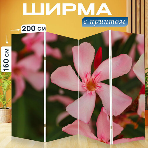 Ширма перегородка с принтом "Цветок, лепестки, листья" на холсте - 200x160 см. для зонирования, раскладная