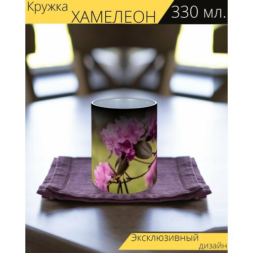 Кружка хамелеон с принтом "Фиолетовый рододендрон, цветы, завод" 330 мл.