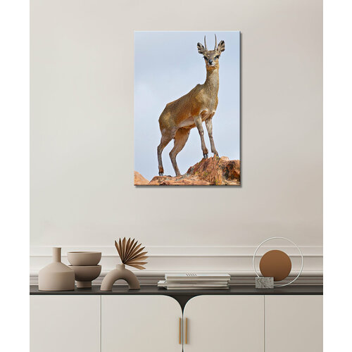Картина - коричневая антилопа на камне 50х70