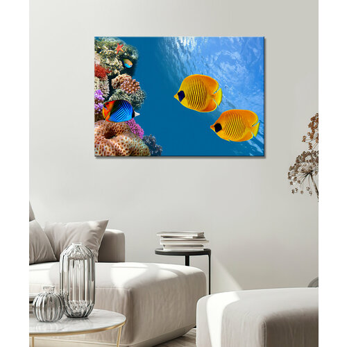 Картина - Тропические рыбы, рыба (18) 30х40