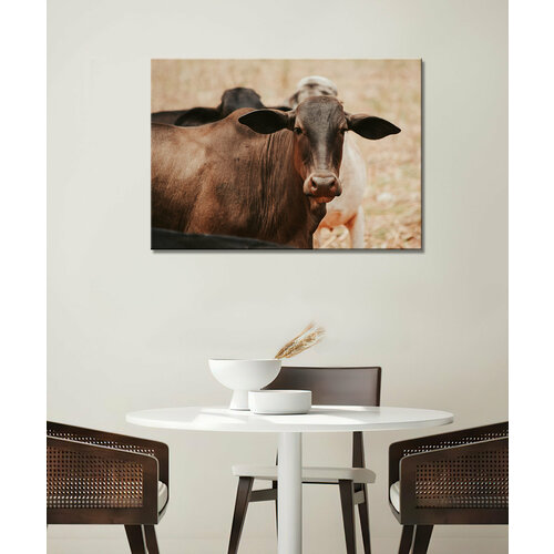 Картина - Корова, коричневая корова, корова на пастбище, бык (2) 40х60
