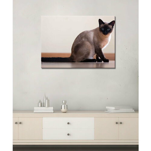 Картина - кошка, сиамская кошка, домашняя кошка, ласковая кошка, короткошерстная кошка, кот (95) 40х60