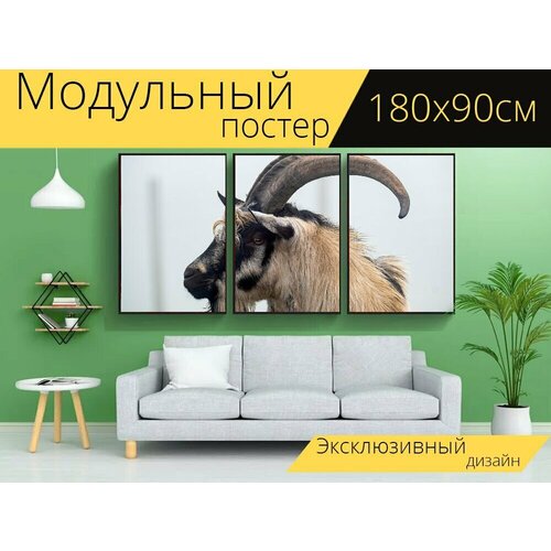 Модульный постер "Козел, голландский козел, животное" 180 x 90 см. для интерьера