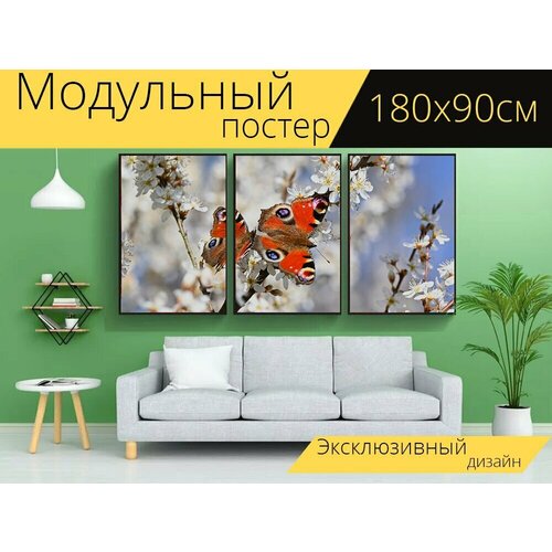 Модульный постер "Бабочки, бабочка павлиний, цветы" 180 x 90 см. для интерьера