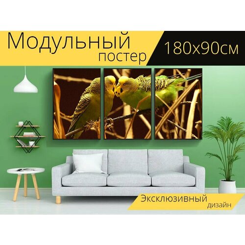 Модульный постер "Животные, птица, волнистый попугайчик" 180 x 90 см. для интерьера