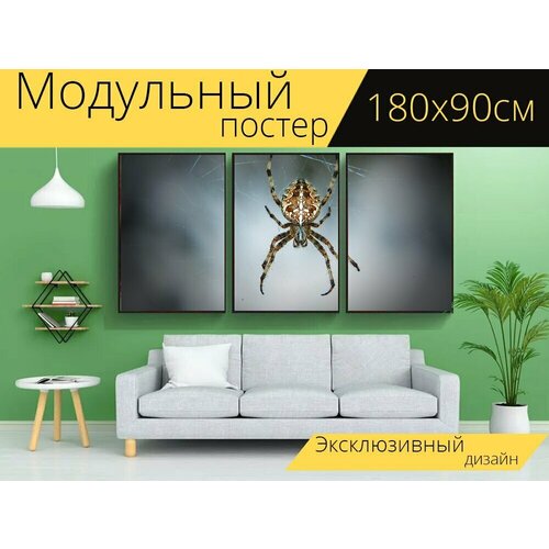 Модульный постер "А ведь когдаоранжевый, девушки, паук" 180 x 90 см. для интерьера