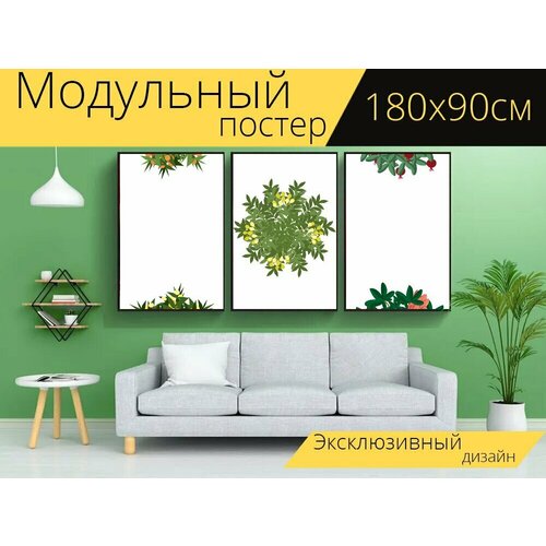 Модульный постер "Фрукты, деревья, сад" 180 x 90 см. для интерьера