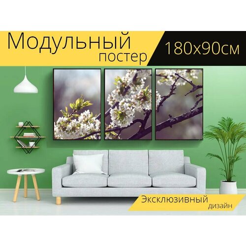 Модульный постер "Вишни в цвету, расцветает, весна" 180 x 90 см. для интерьера