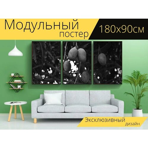 Модульный постер "Манго, филиал, черное и белое" 180 x 90 см. для интерьера