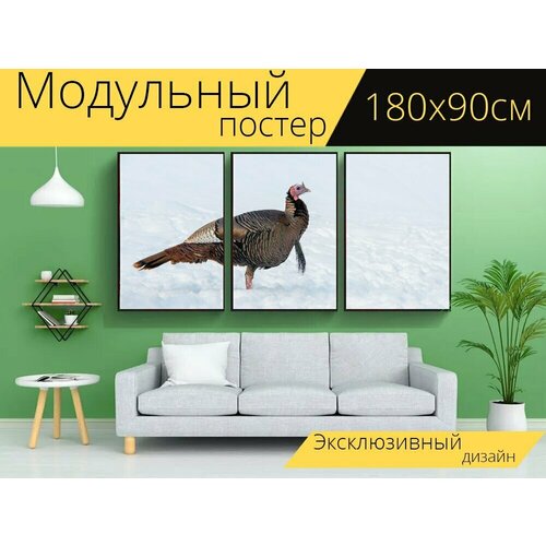Модульный постер "Дикая индейка, дикая природа, птица" 180 x 90 см. для интерьера