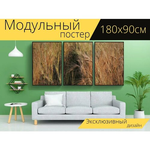 Модульный постер "Пшеница, летом, колосья" 180 x 90 см. для интерьера